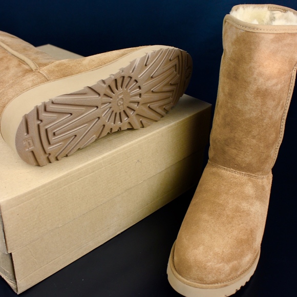 UGG | Shoes | Ugg Austrailia Chestnut Suede Amie | Poshmark